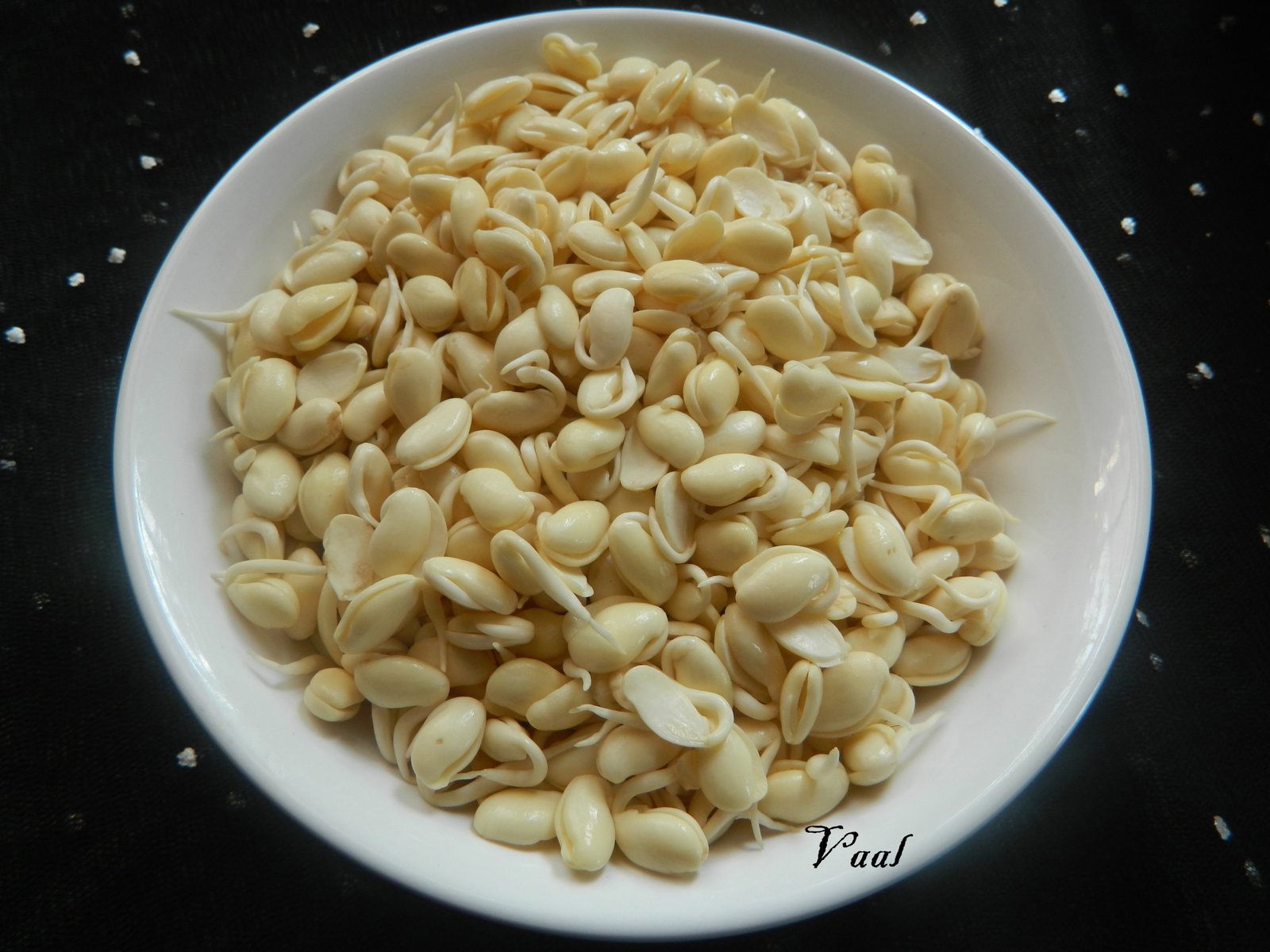 Vaal Masala | Geeths Dawath